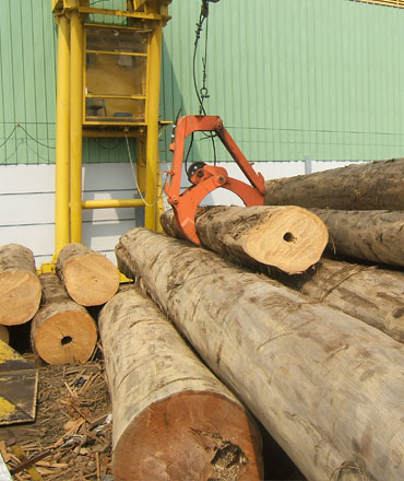 Proses-Produksi – Bangkirai Decking, Yellow Balau Decking Manufacture