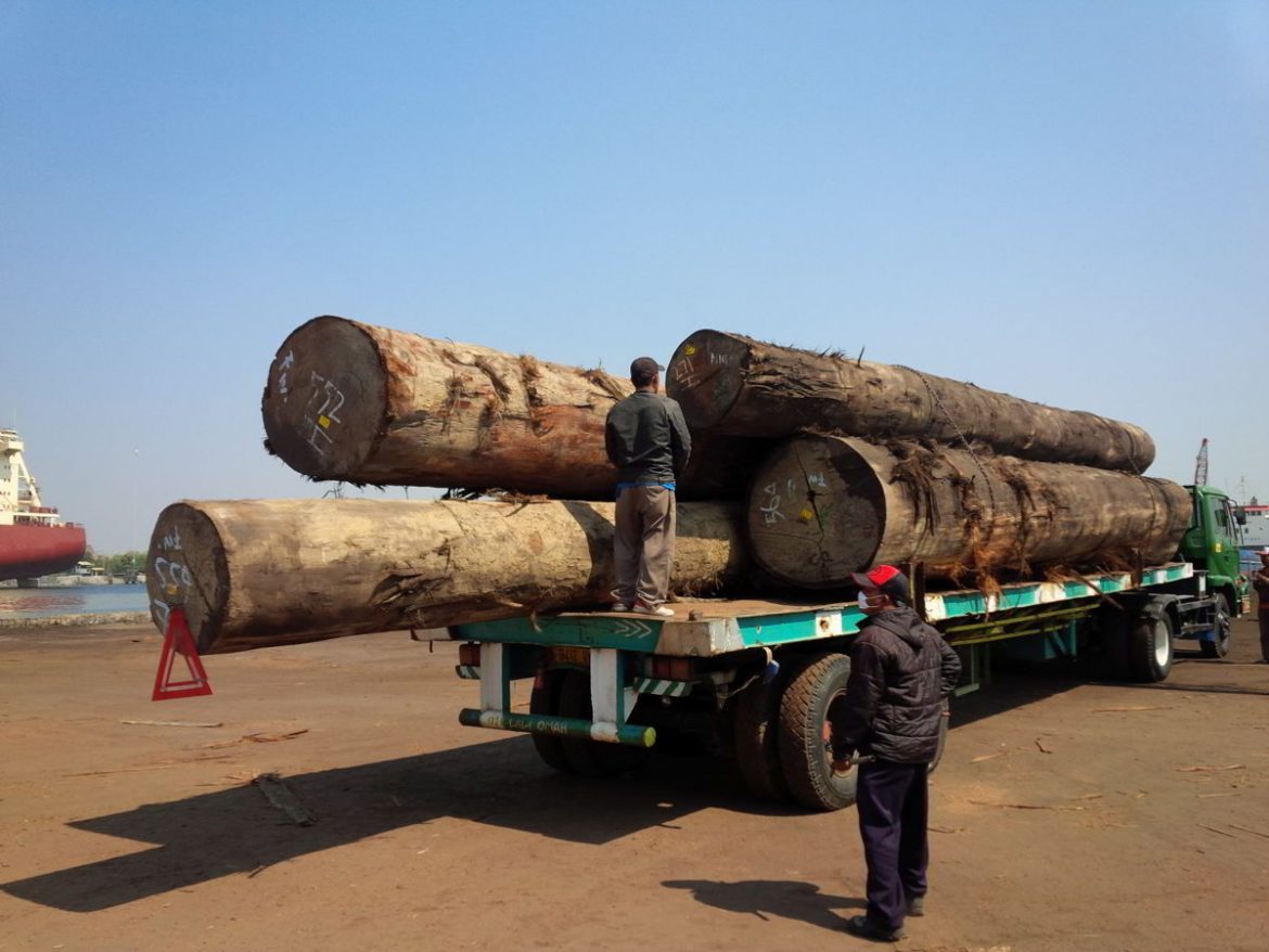 distribusi kayu – Bangkirai Decking, Yellow Balau Decking Manufacture