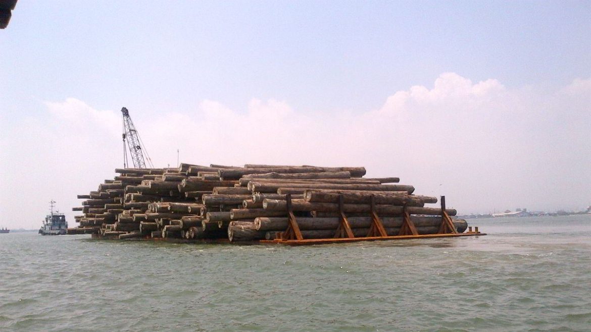 distribusi kayu grand indo timber – Bangkirai Decking, Yellow Balau ...