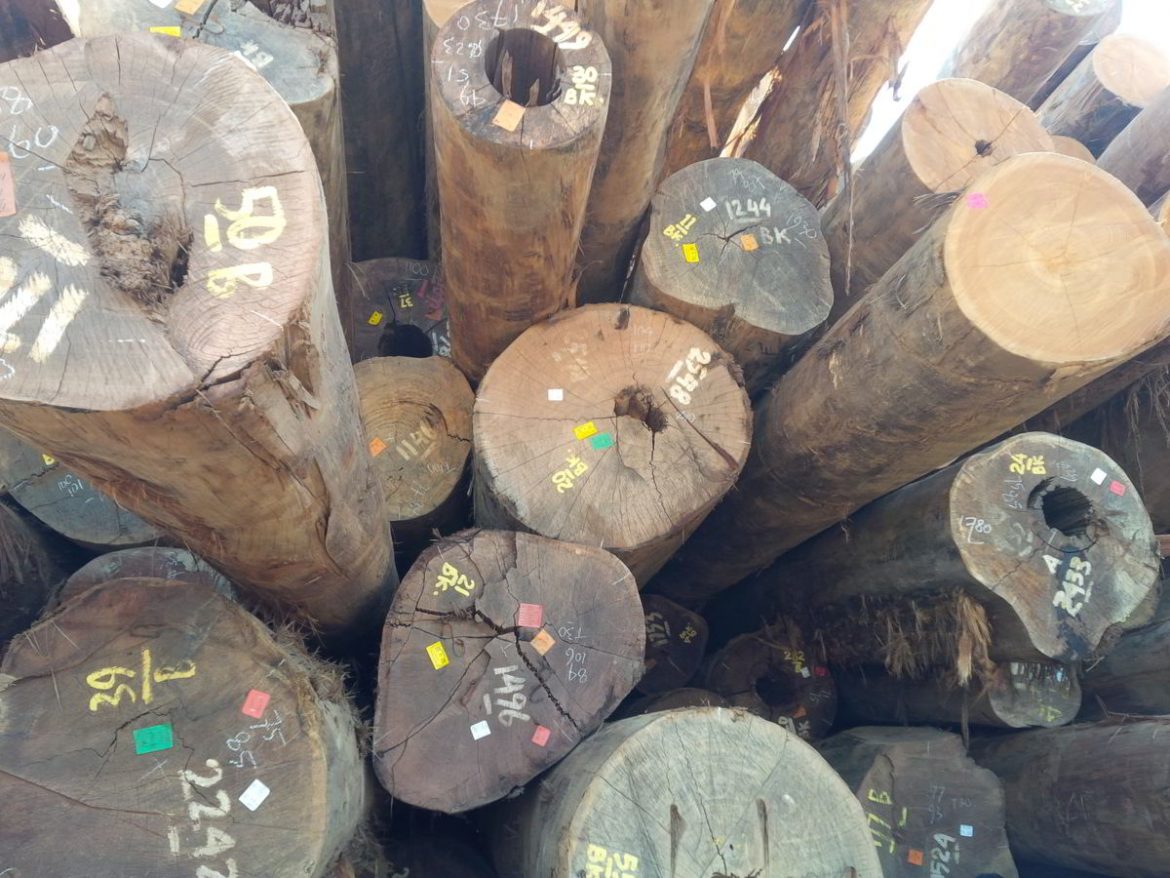 kayu pilihan – Bangkirai Decking, Yellow Balau Decking Manufacture